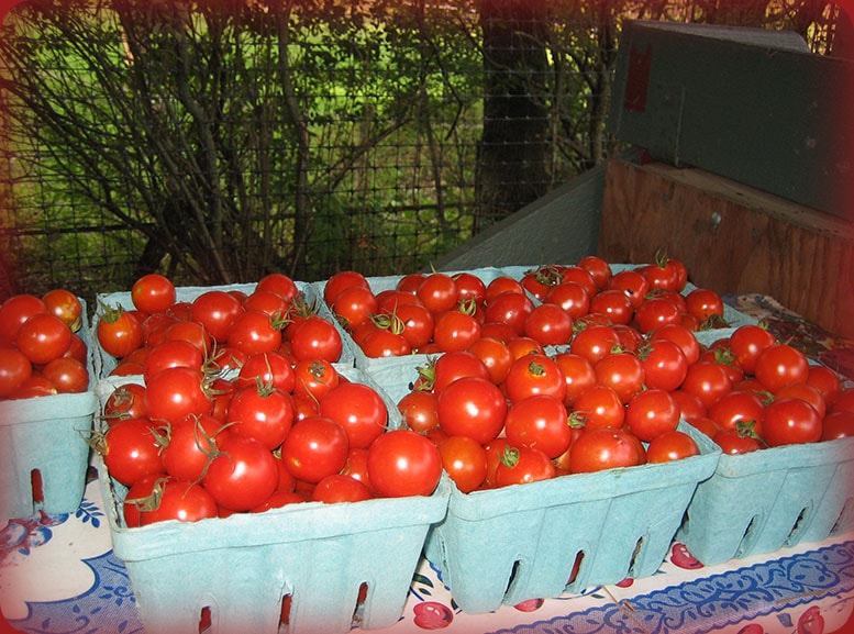 Farm Store :: La Basse Cour